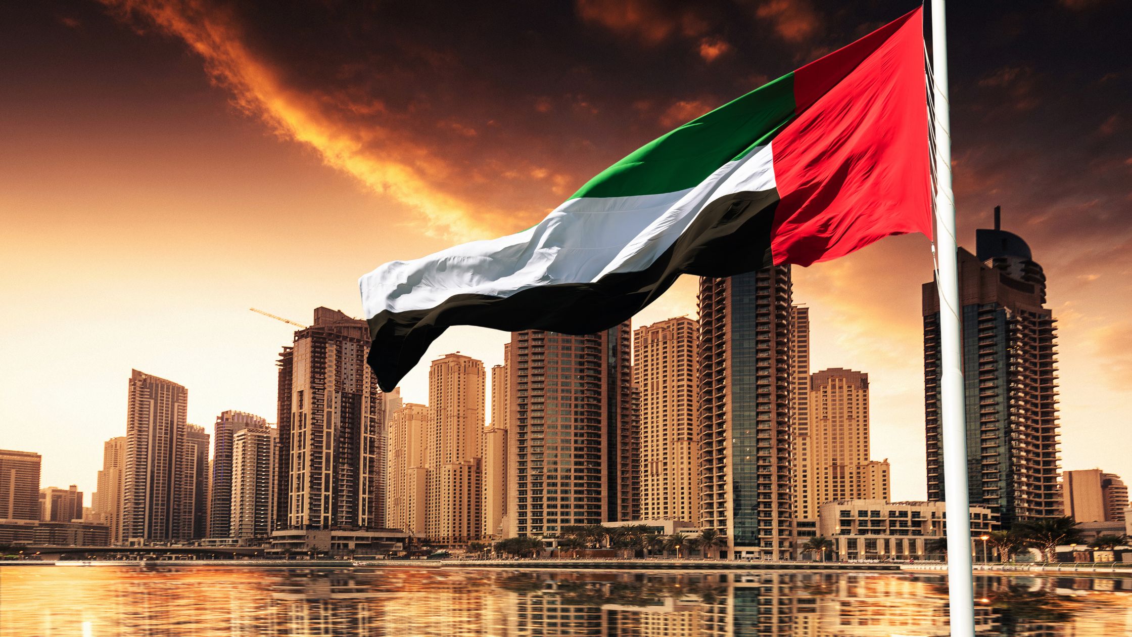 UAE leads the GCC’s startup ecosystem, female-led ventures surge in Kuwait - The Platinum Capital